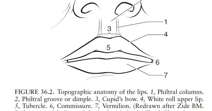 VIDHUNS PLASTIC SURGERY AND COSMETIC WORLD: ACUTE LIP LOSS ...