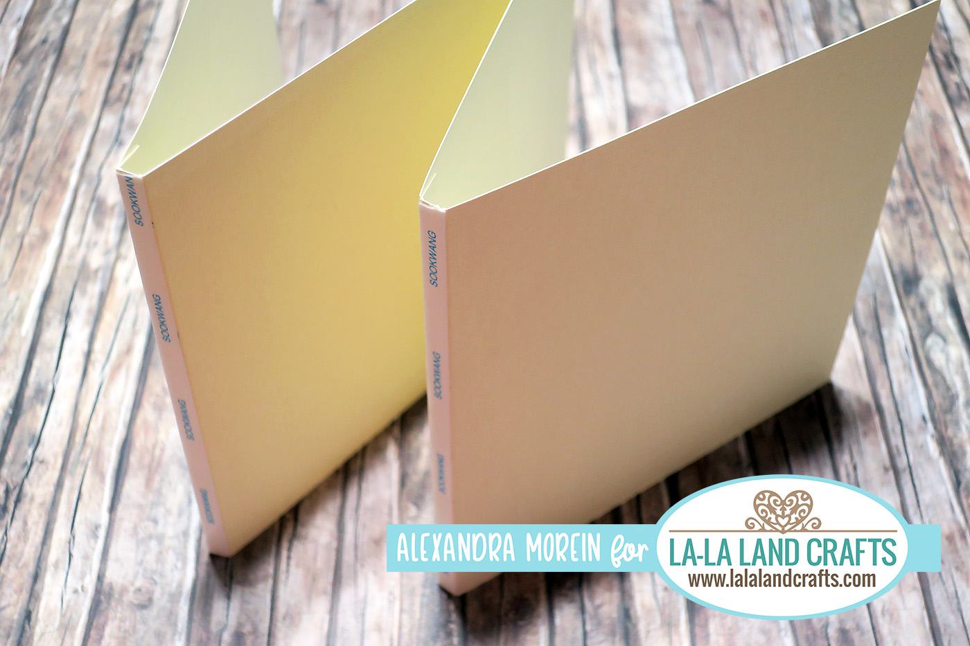 La-La Land Crafts Inspiration and Tutorial Blog: Interactive Album ...