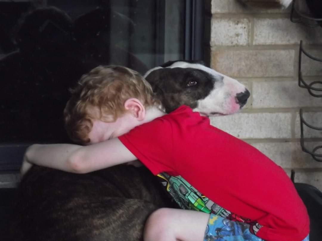 Raising My Little Superheroes : Just a dog named Ruby.