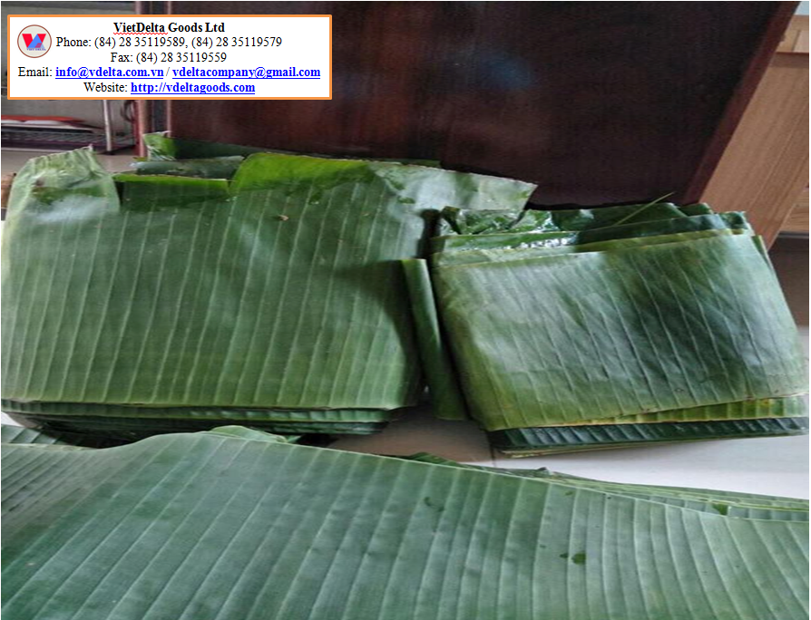 Fresh banana leaves