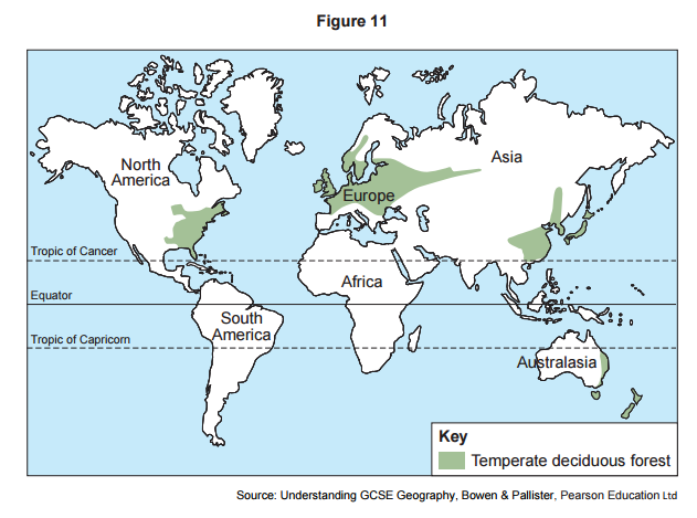 Super Geography: Exam Skill: Describing Distribution