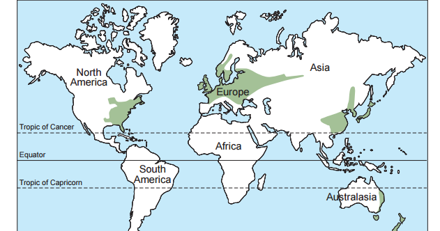 Super Geography: Exam Skill: Describing Distribution
