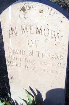 TheAncestorFiles: The Adventure of the Adeline Springthorpe Sparks ...