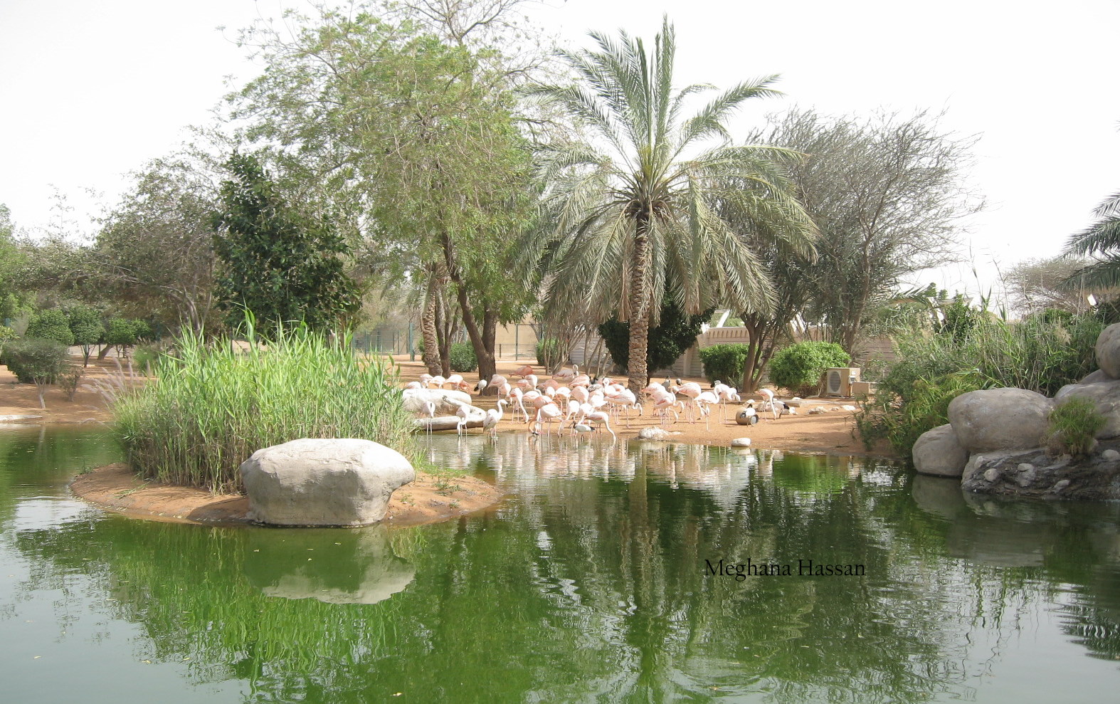 My World: Al Ain Zoo