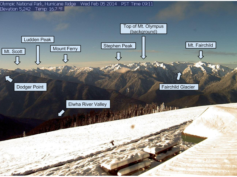 Webcams on Hurricane Ridge (Olympic National Park) 2018