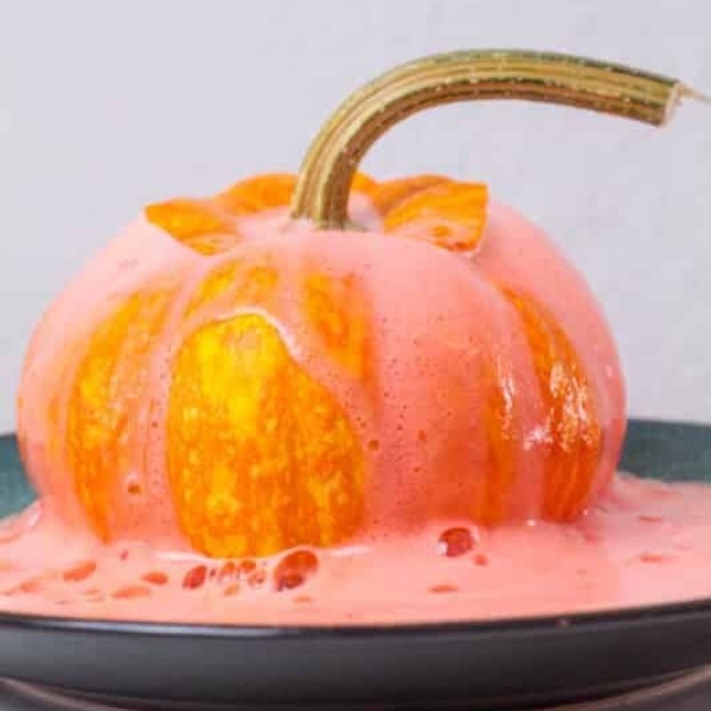 16 Pumpkin Science Experiments & STEM Activities for Kids | Finding ...
