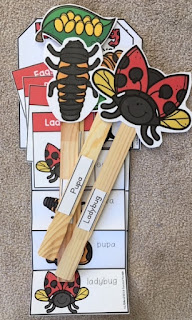 Ladybug Life Cycle Easy Craft ~ Preschool Printables
