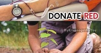 Technical Rockers: Donate Red, Spread Green, Save Blue