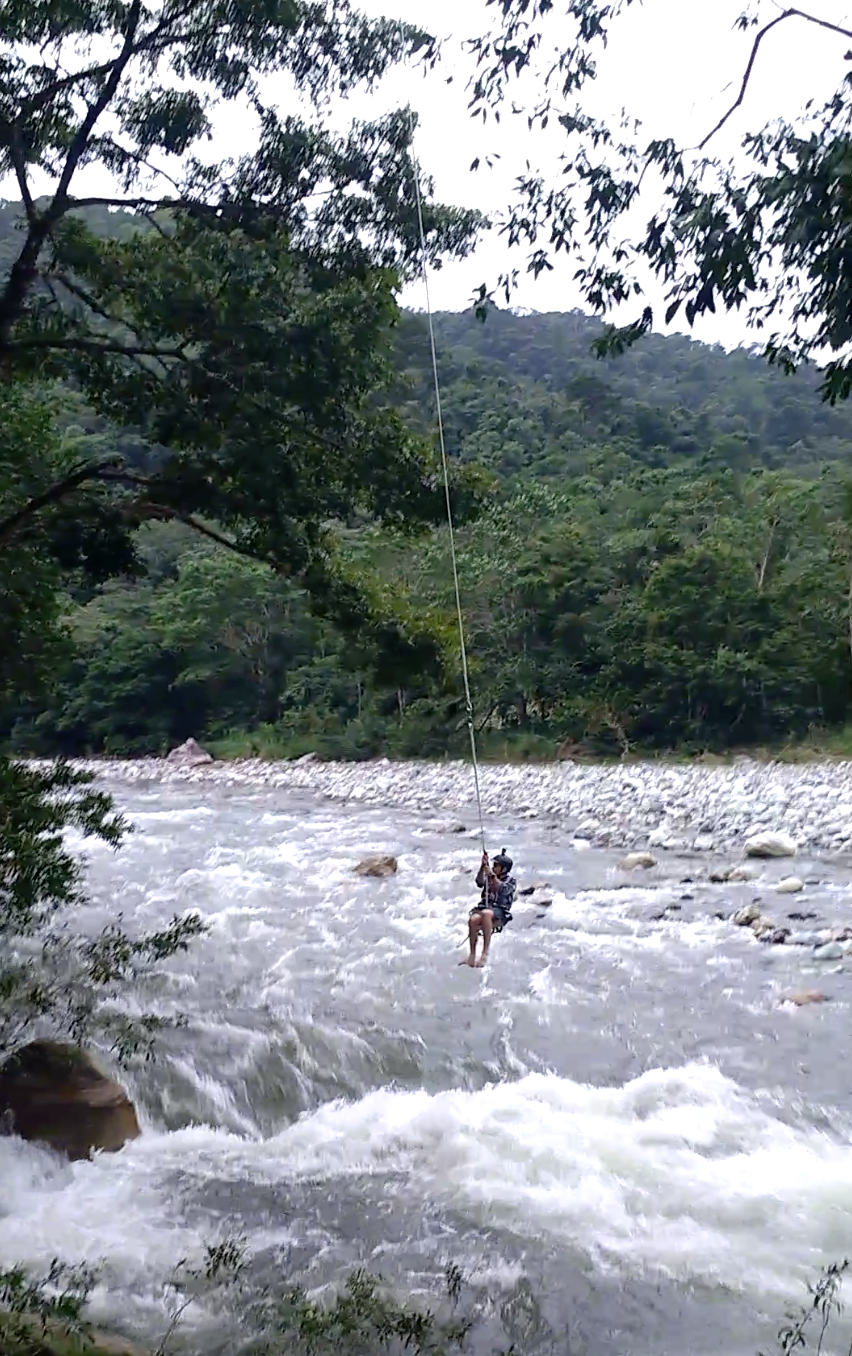 Piedmont Tree Climbing (PTC): Tree Swing Installation