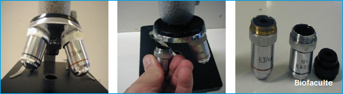 Les différents types des microscopes - Optique, Photonique ...