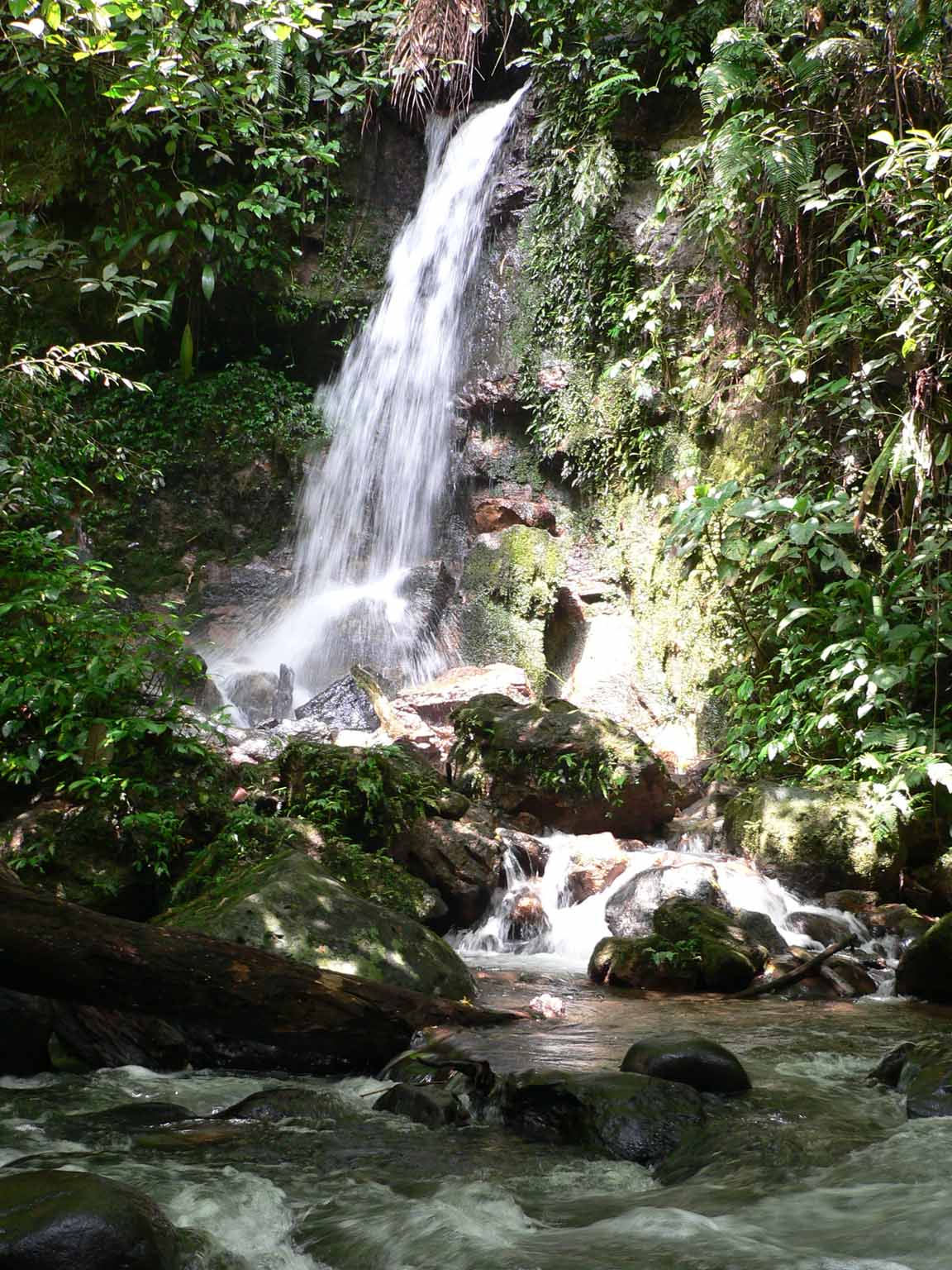 Indah dan Serunya Mancing di Ciaruteun, Sub DAS Cisadane. | Kampung Halimun