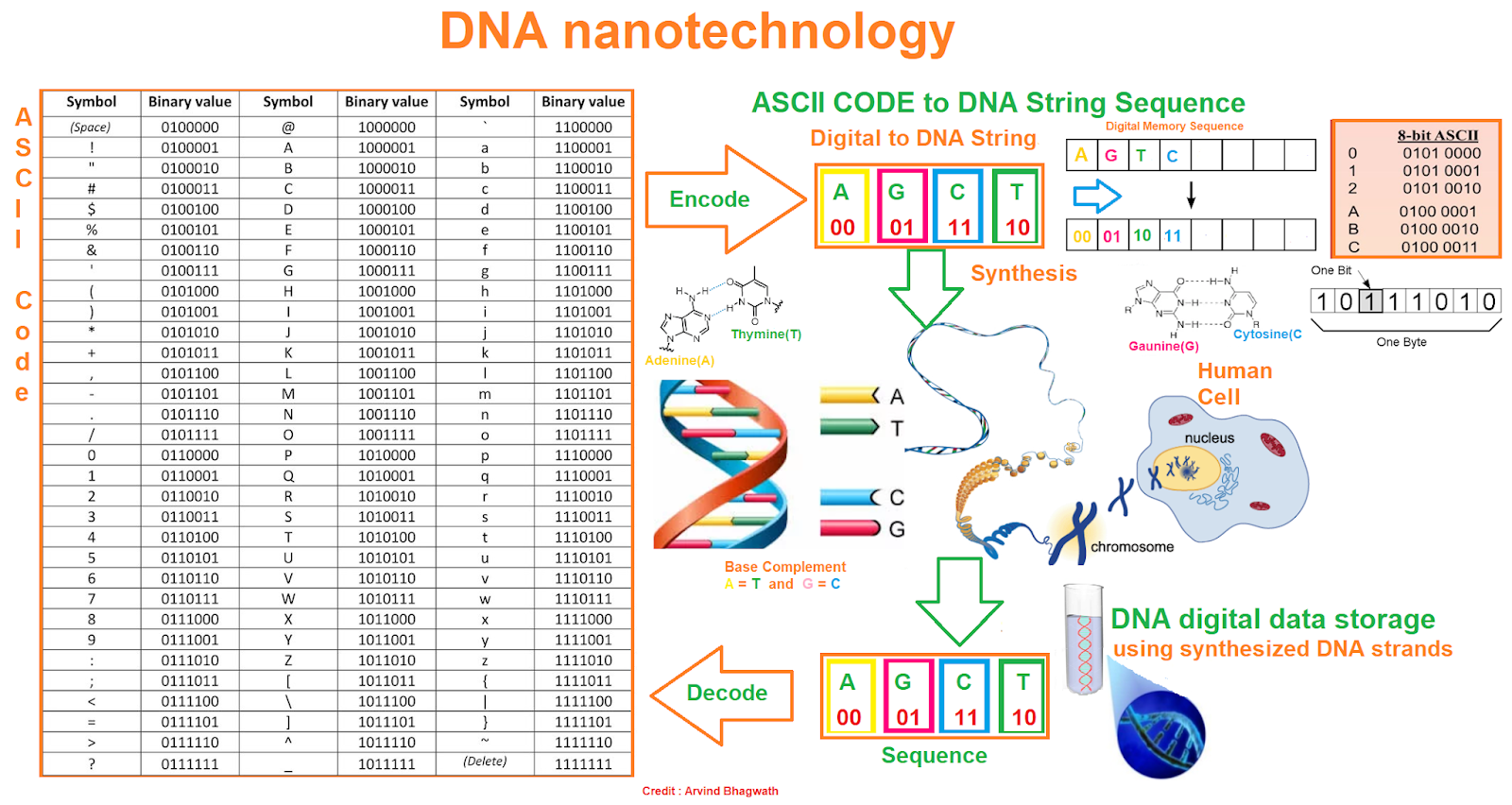 DNA Science