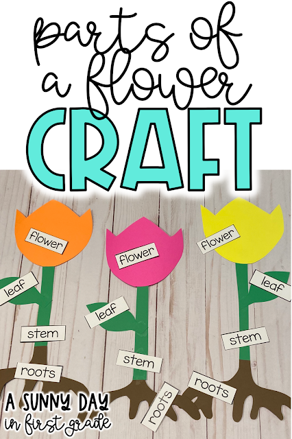 Parts of a Flower Craft | A Sunny Day in First Grade