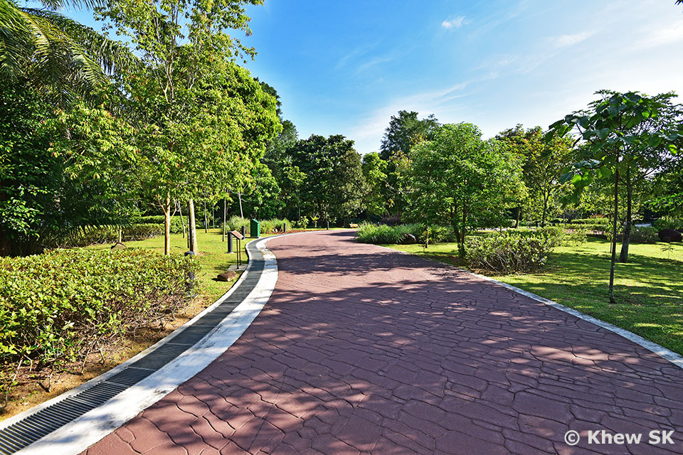 Butterflies of Singapore: Butterfly Photography at Our Local Parks ...