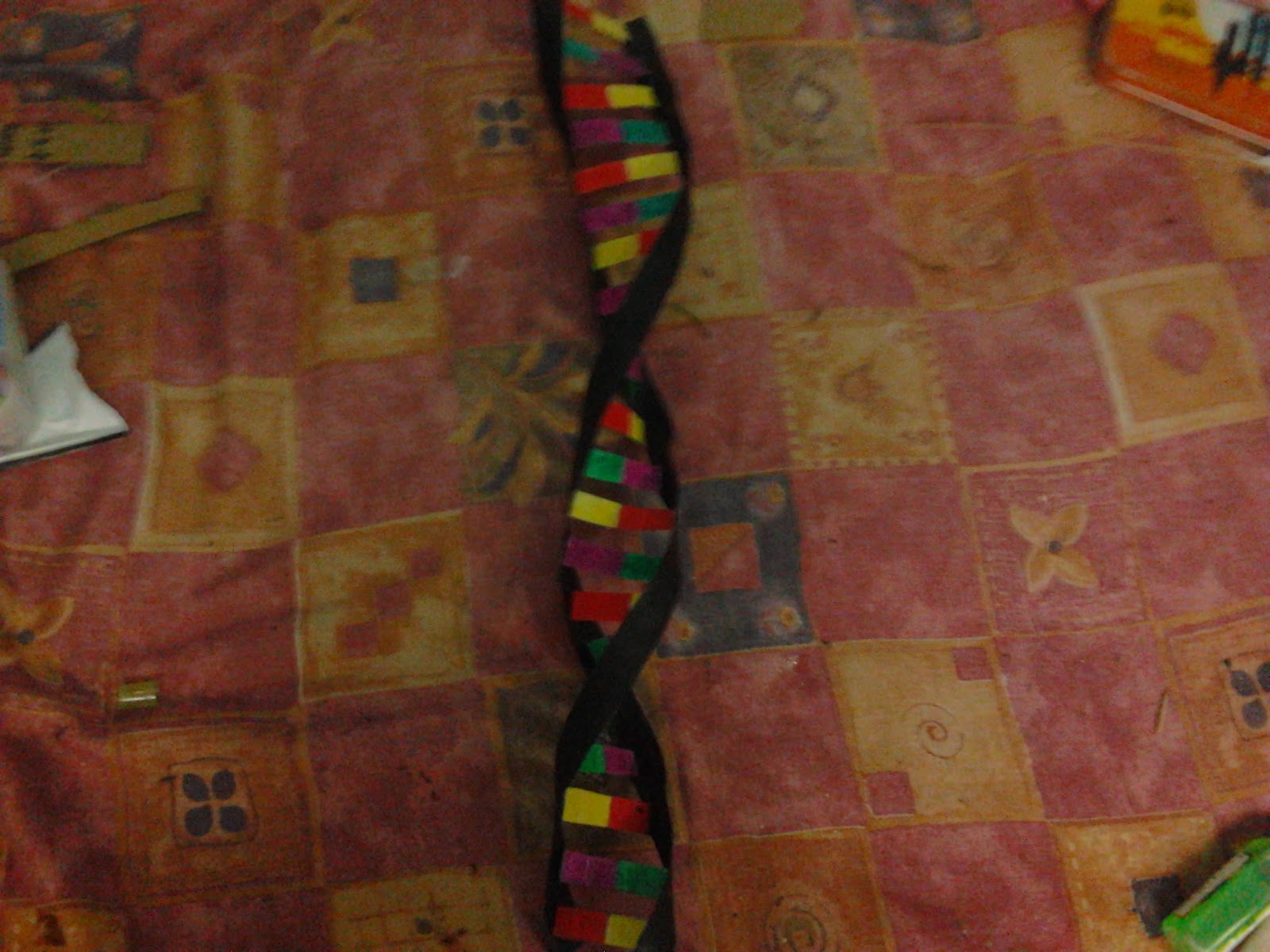 Curious And Creative: How to create a model of DNA