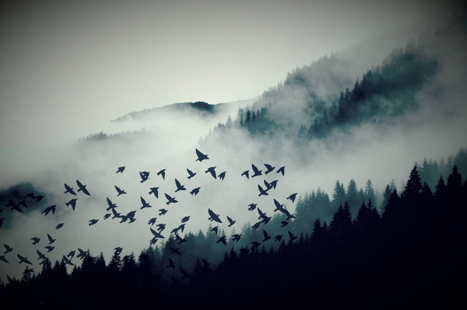 Top 10 Astounding Things, Places, And Facts