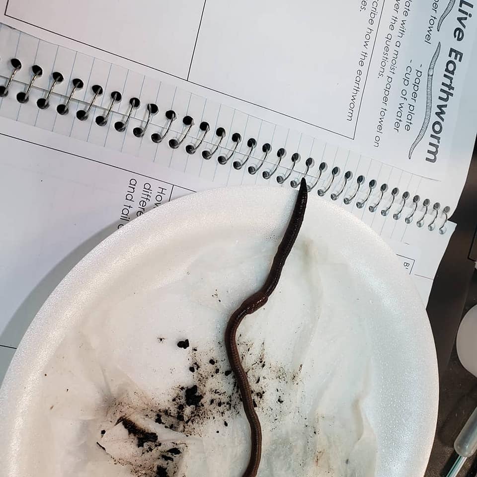 Growing a STEM Classroom: 2019