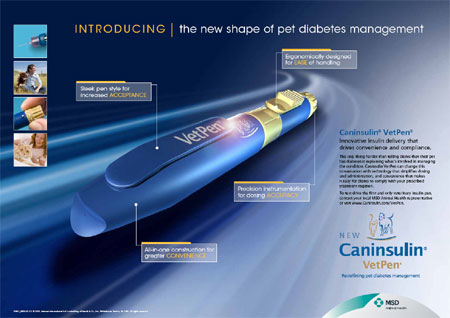 Animal Endocrine Clinic: Insulin Injection Pen (VetPen): More Questions ...