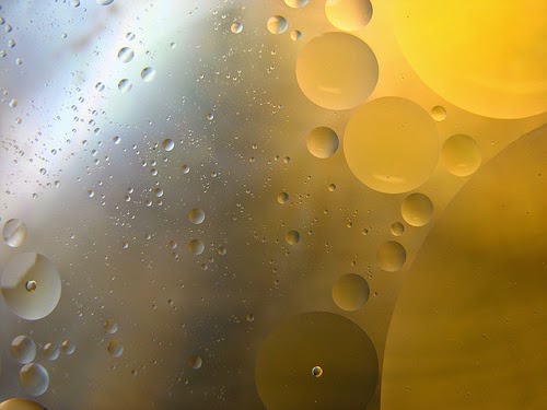 Chef's Notes: The Four Basic Food Molecules - Chapter 2 : FAT