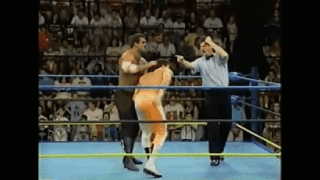 Rick Rude ♔ Explosive Wrestling Gifs