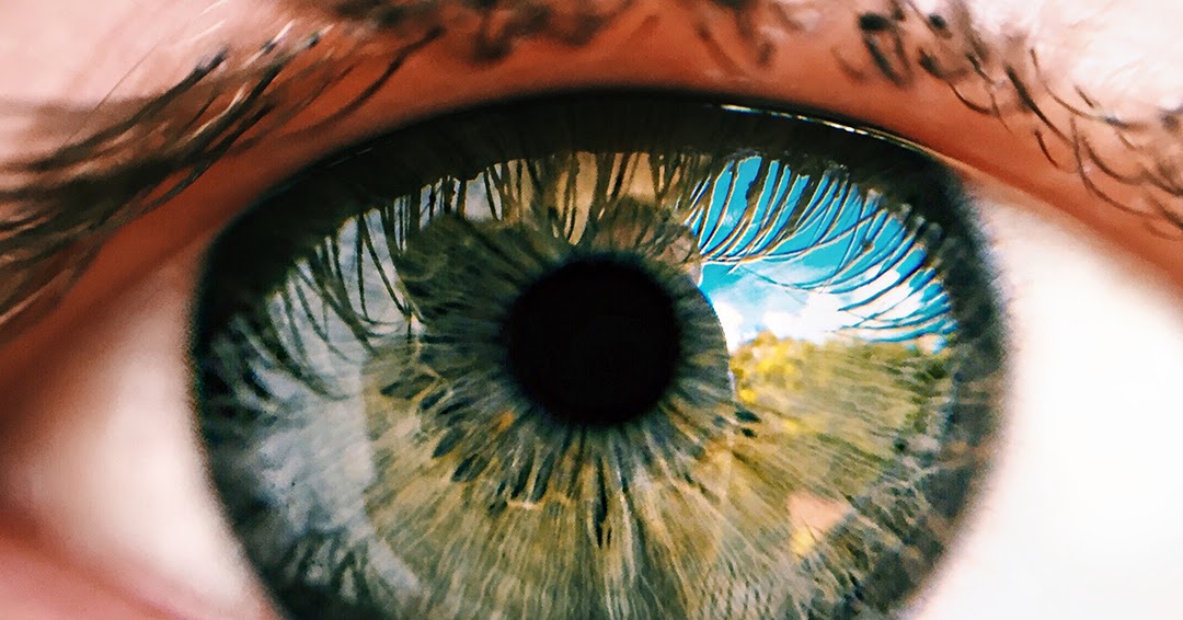 03 - TREINANDO O OLHAR