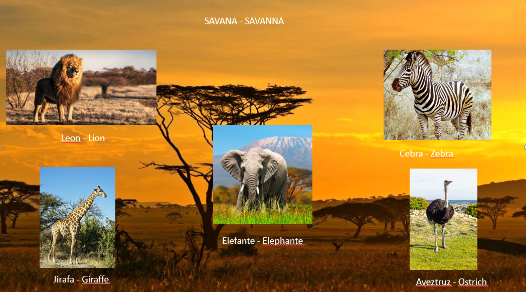 Abdiel Hernandez Cruz 411: Practica 8 Animales de los Biomas