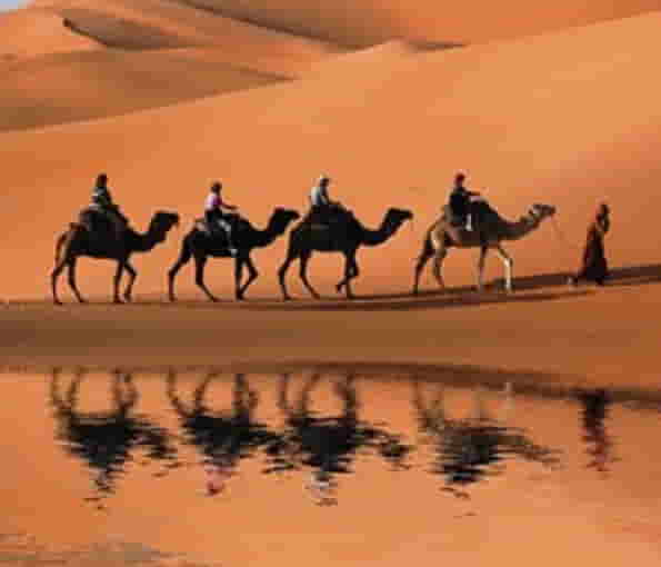 NaitikShiksha.com - Naitik Shiksha - नैतिक शिक्षा - Stories