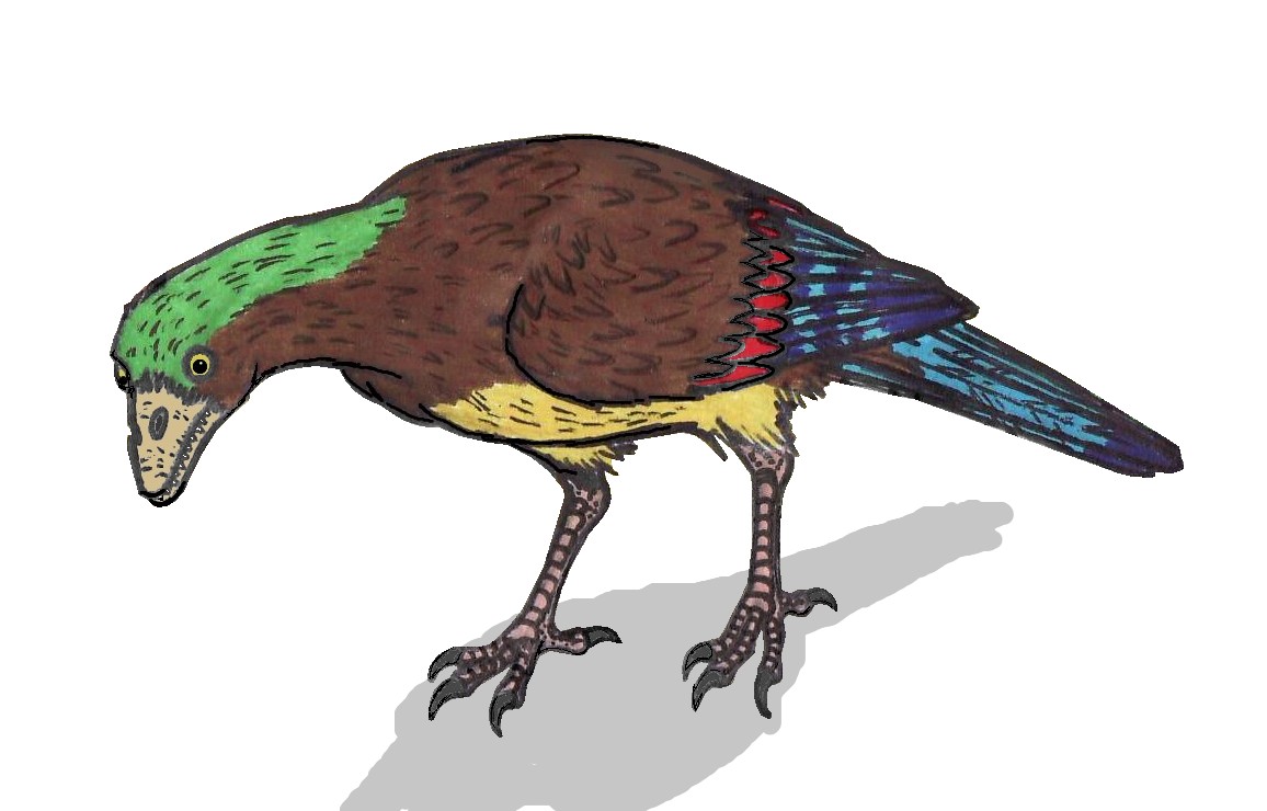 Fossil Adventure: Aparecieron las aves..... y vienen volando.