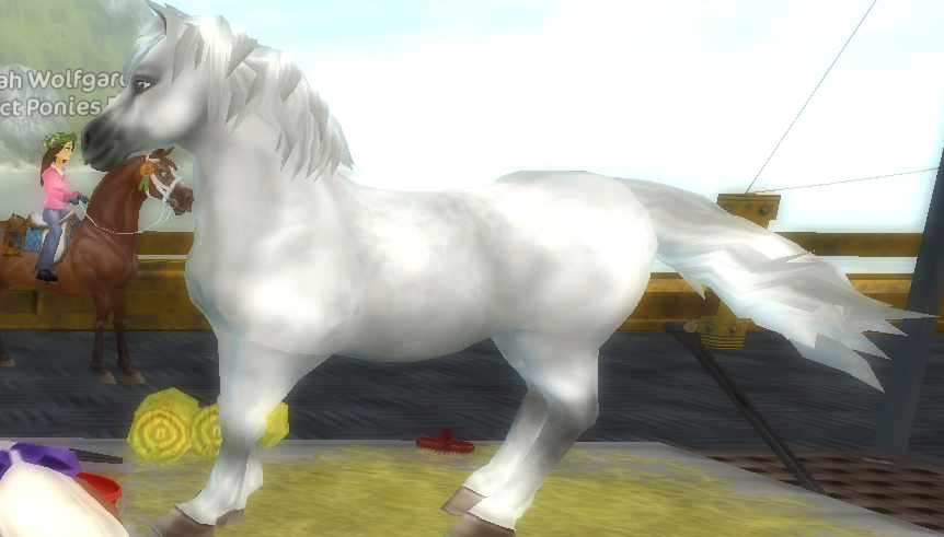 Star Stable Daily : Horse Breeds