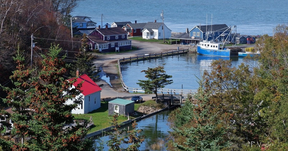 Camp Mini Ha Ha Projects: About Camp Mini Ha Ha