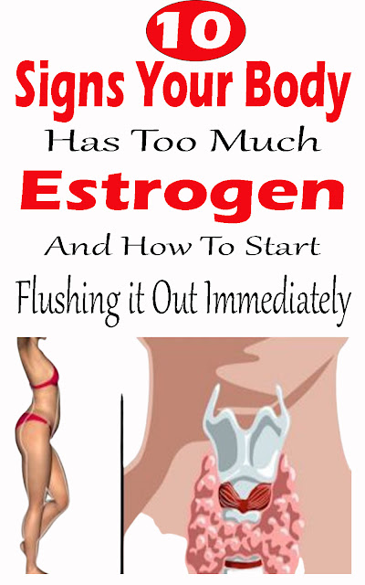 10 Signs Your Body Has Too Much Estrogen And How To Start Flushing it ... 10 Signs Your Body Has Too Much Estrogen And How To Start Flushing it ...