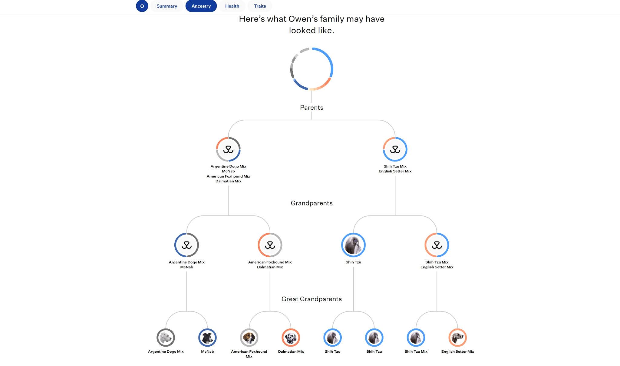 The Lass's Menagerie: Wisdom Panel Essential Review