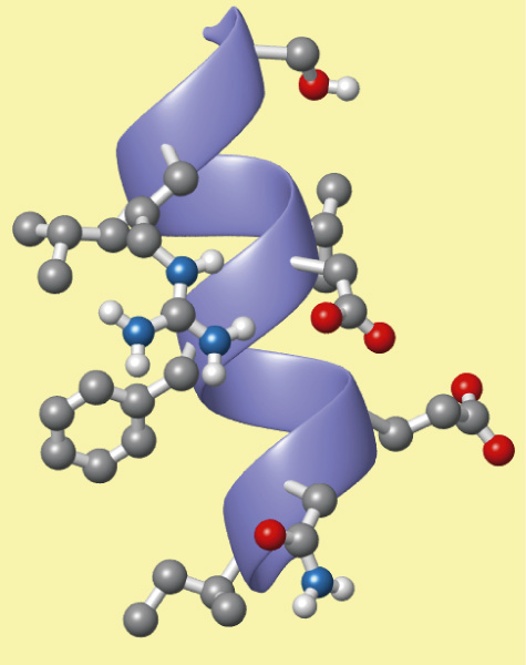 Quimica_Proteinas: Las Funciones de las Proteinas