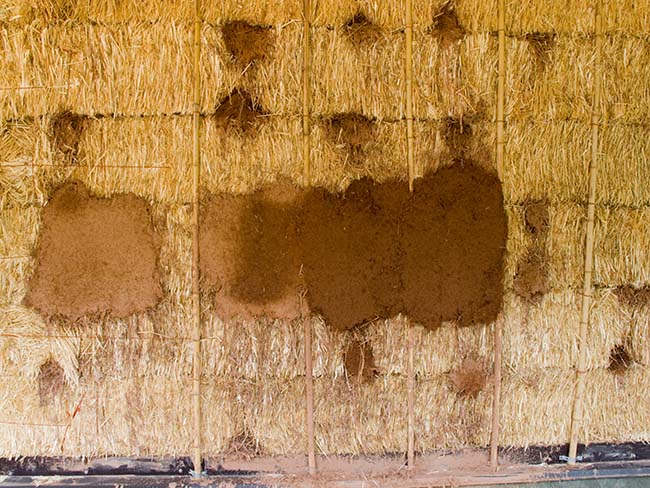 Our House of Straw: Fun With Plaster