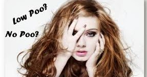 O que é low poo/no poo