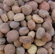 SEYILAABE HTKM: L'EXTRAIT DNK: DANKH, DITAKH, HAL