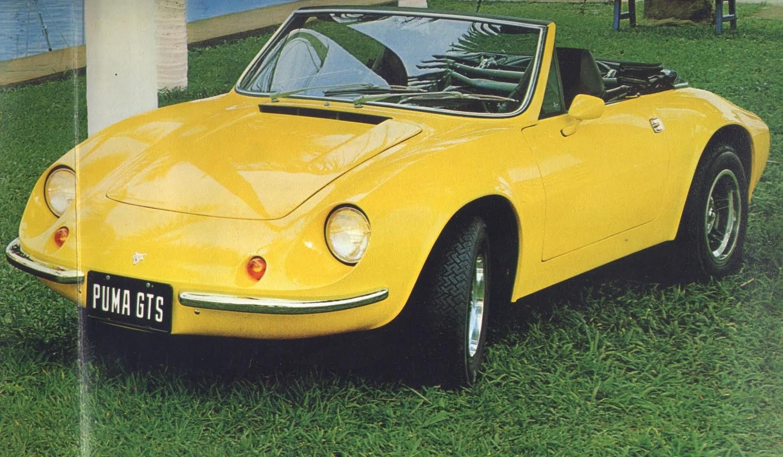 Archivo de autos: Un escarabajo vestido de Puma