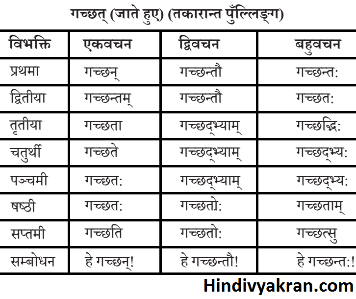 गच्छत् शब्द रूप संस्कृत में – Gachat Shabd Roop In Sanskrit | HindiVyakran
