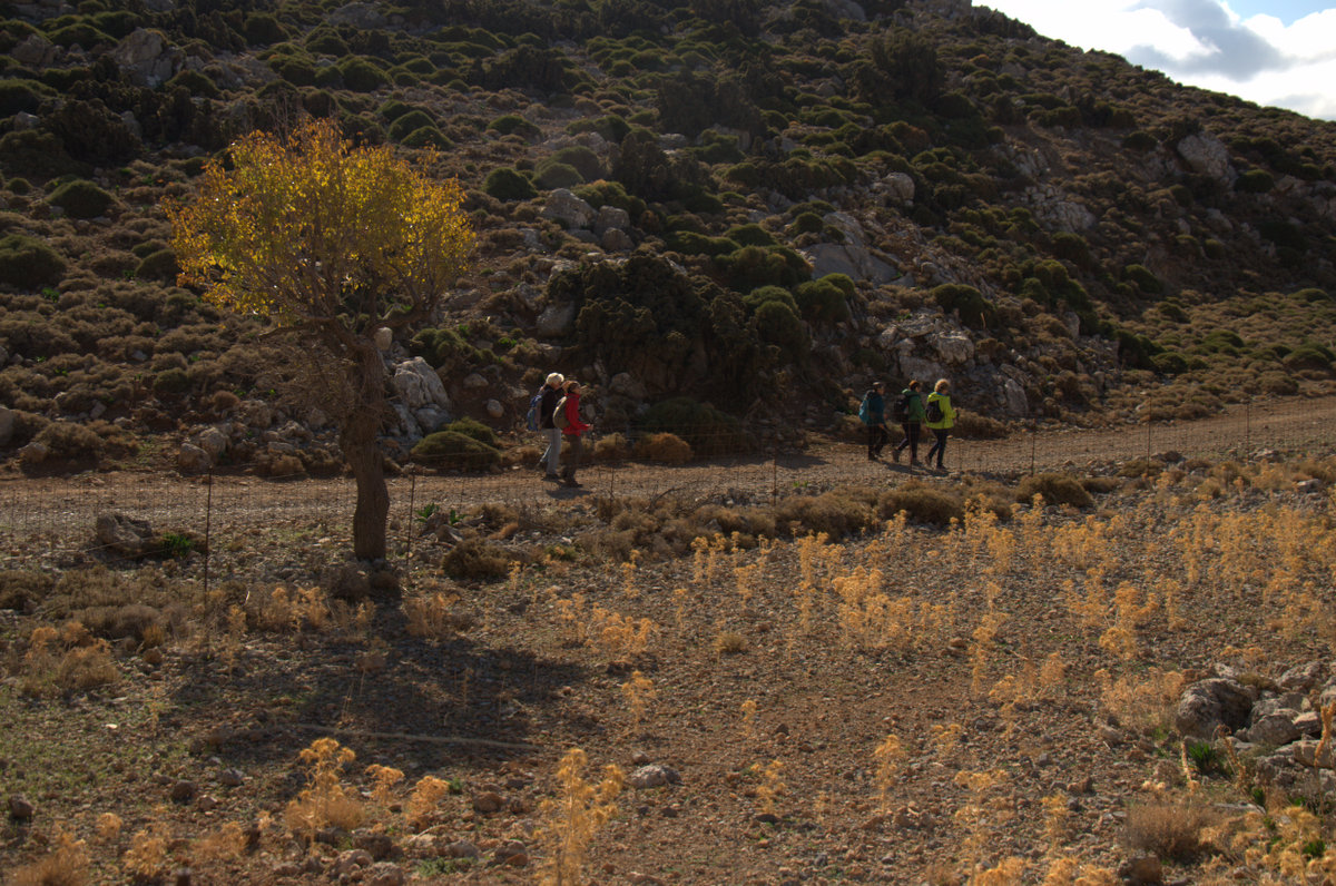 EXPLORE MOUNTAINS: ΠΕΖΟΠΟΡΙΑ ΜΙΛΛΙΑΡΑΔΩΝ (ΕΜΠΑΡΟΣ)-ΑΝΩ ΒΙΑΝΝΟΣ