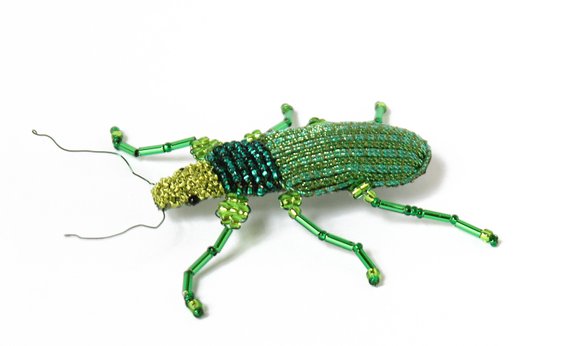 Beaded Insects