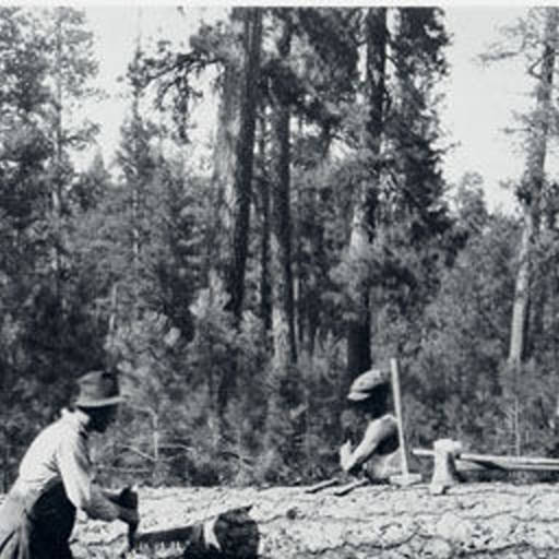 Geared Steam: Heritage Museum Libby Montana