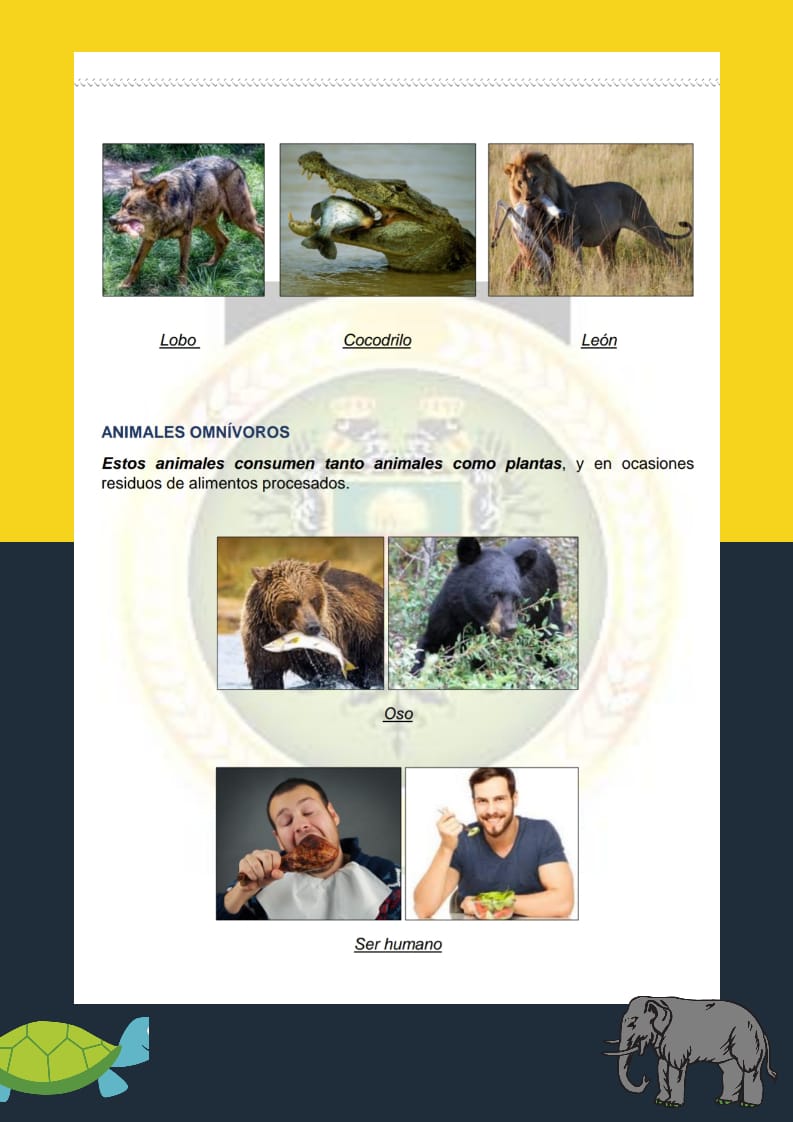 Ciencias Naturales: Los animales