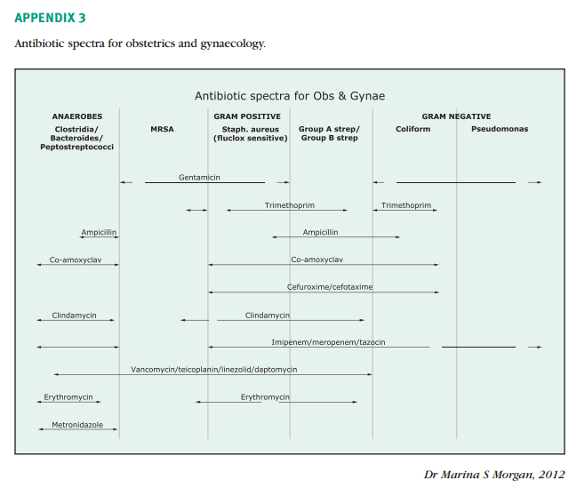 ASK DIS: Sepsis in Pregnancy
