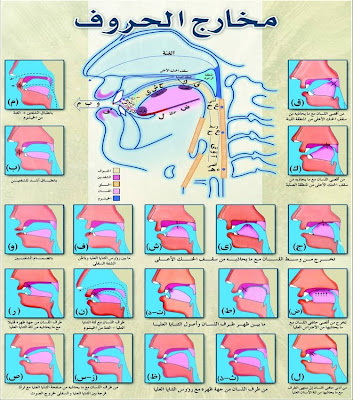 Learn Quran Online: makharij