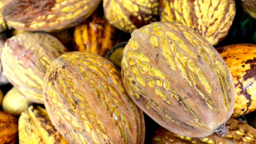 Frutas típicas del Chocó