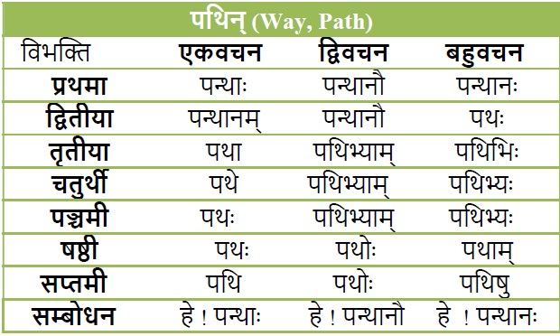 Pathin shabd roop in Sanskrit