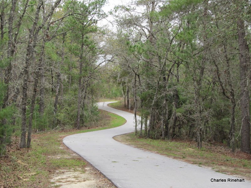 The Cross Florida Greenway In Ocala Florida: The Baseline Road ...