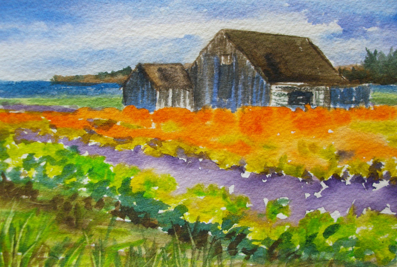 Jolley Art (365 Paintings): Paintings 127 and 128, Poppy Field in ...