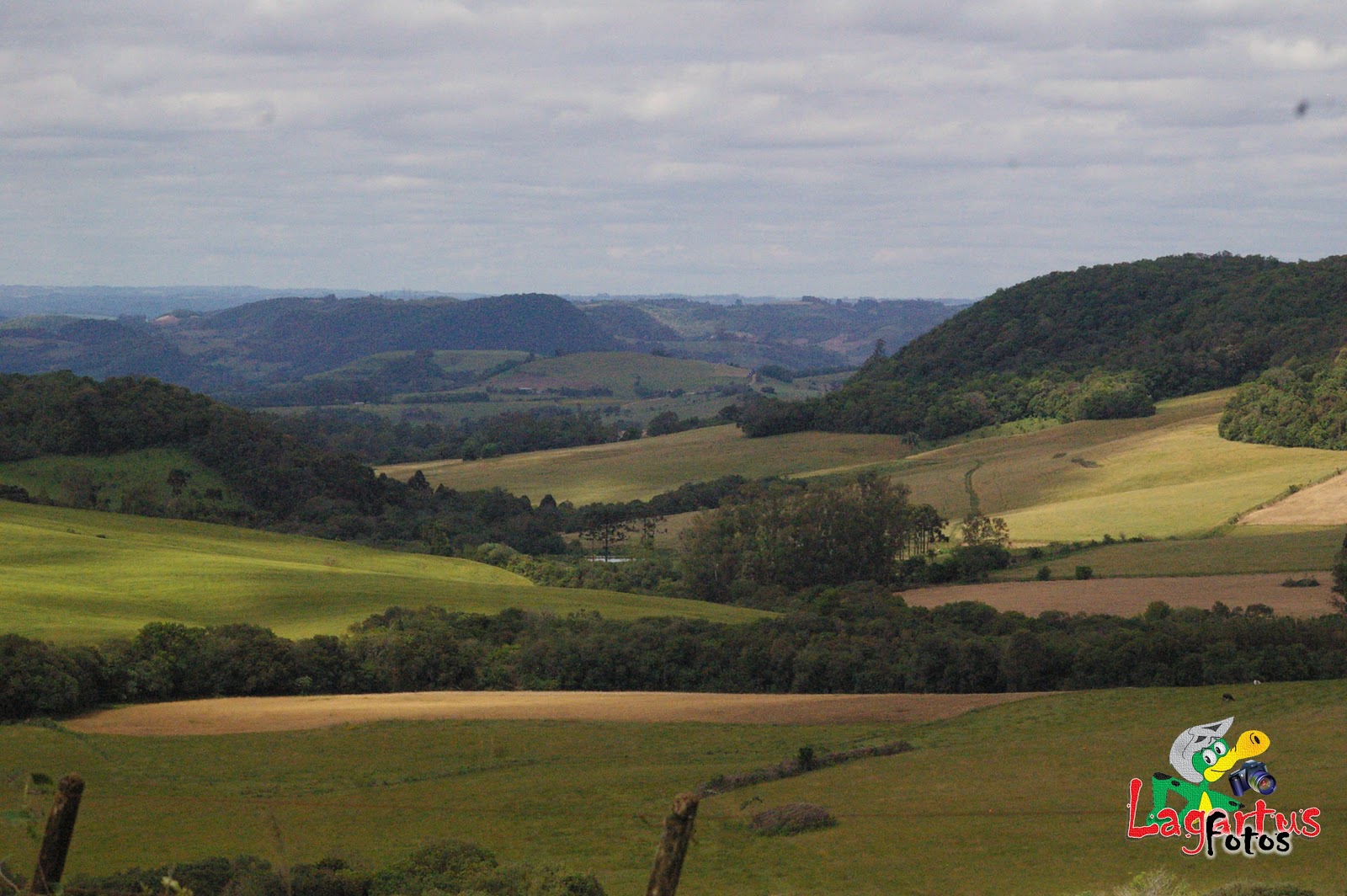 .BLOG LUIZ AFONSO COSTA: Pinhal Grande imagens de primavera