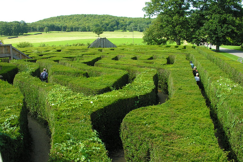 Hedge Maze – Longleat